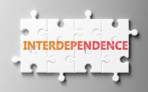 Interdependence – the relational universe | Exeter Meditation Circle